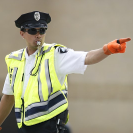 What is the French Word for "show"?